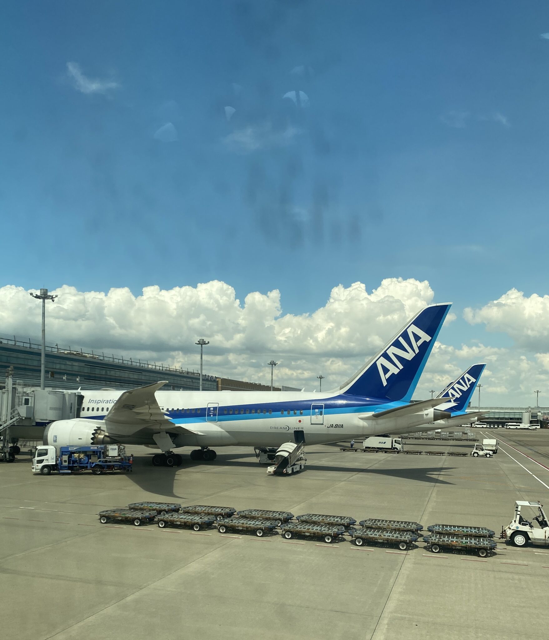 モーニングフライト | RON DESIGN｜ラグジュアリーインテリア・建築デザイン・高級マンションリノベ｜東京